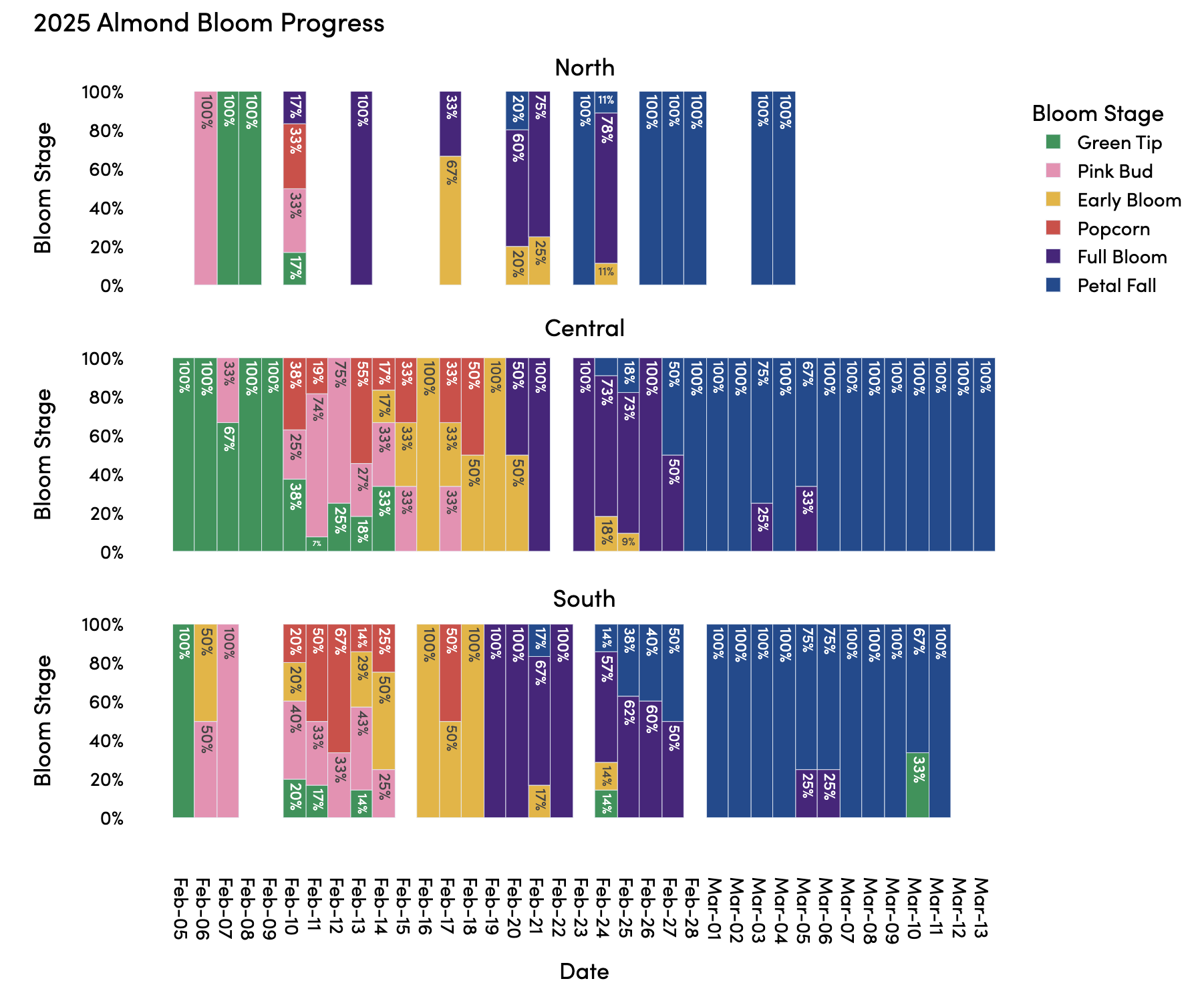 Bountiful Bloom, 2025 Almond Bloom Summary 🌸