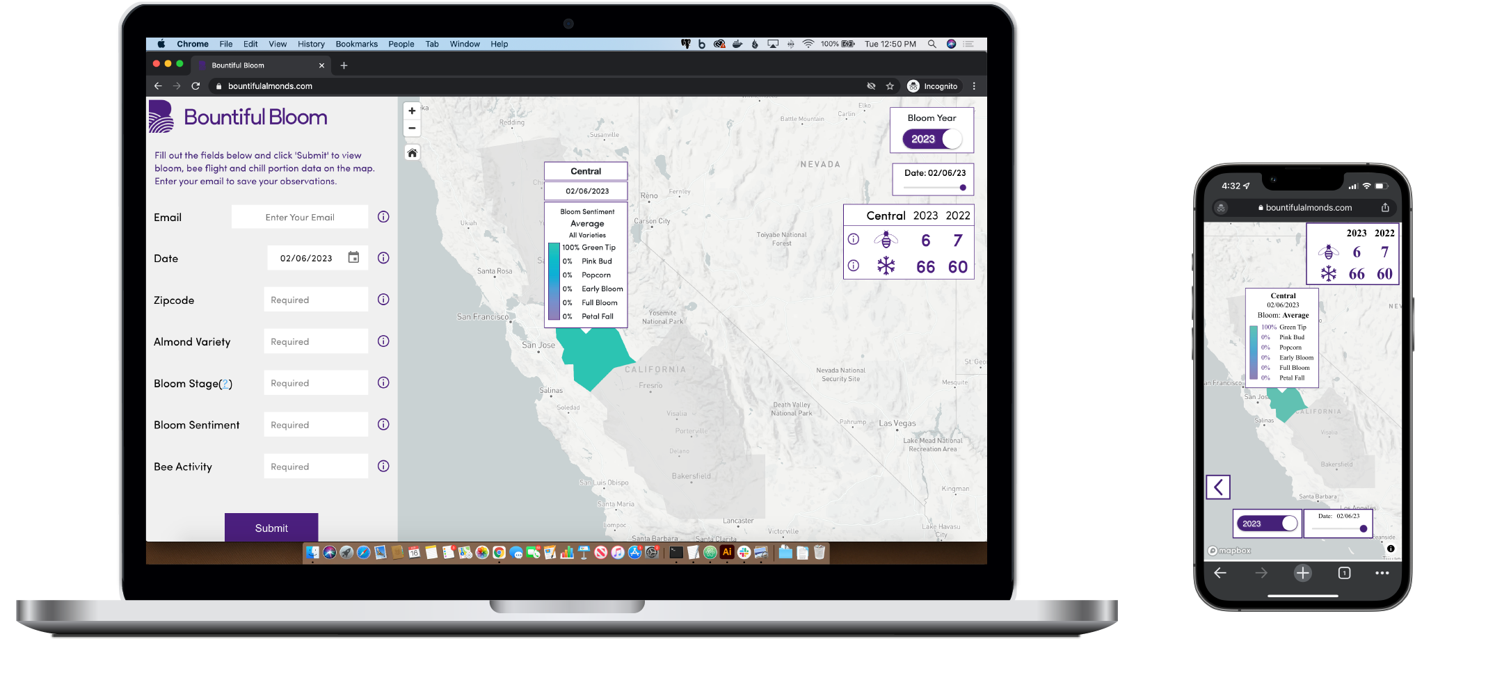 The why, what, and how of Bountiful Bloom